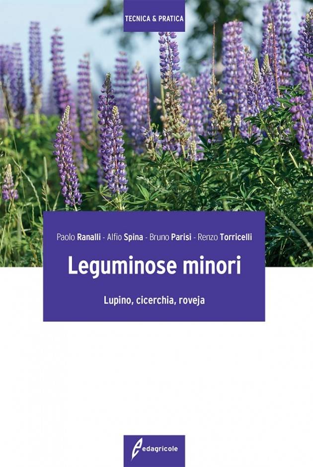 LEGUMINOSE MINORI Lupino, cicerchia, roveja di Paolo Ranalli - Alfio ...