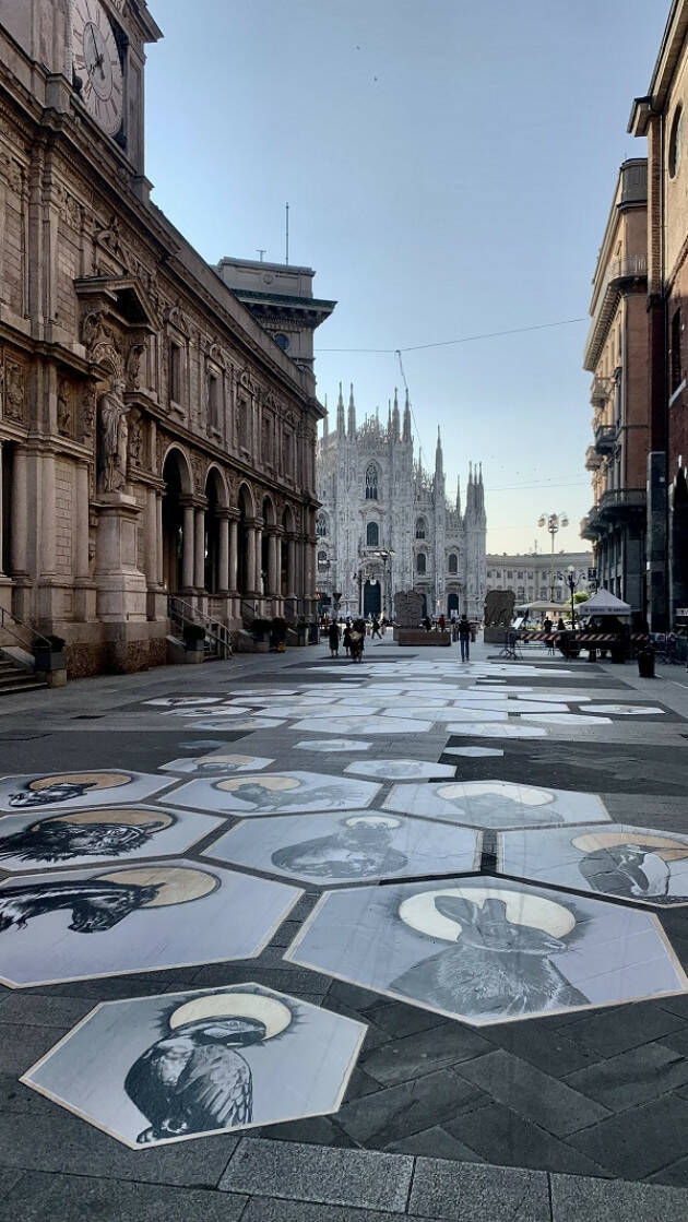 BESTIARIO DI ANGELO CRUCIANI Via dei Mercanti Milano